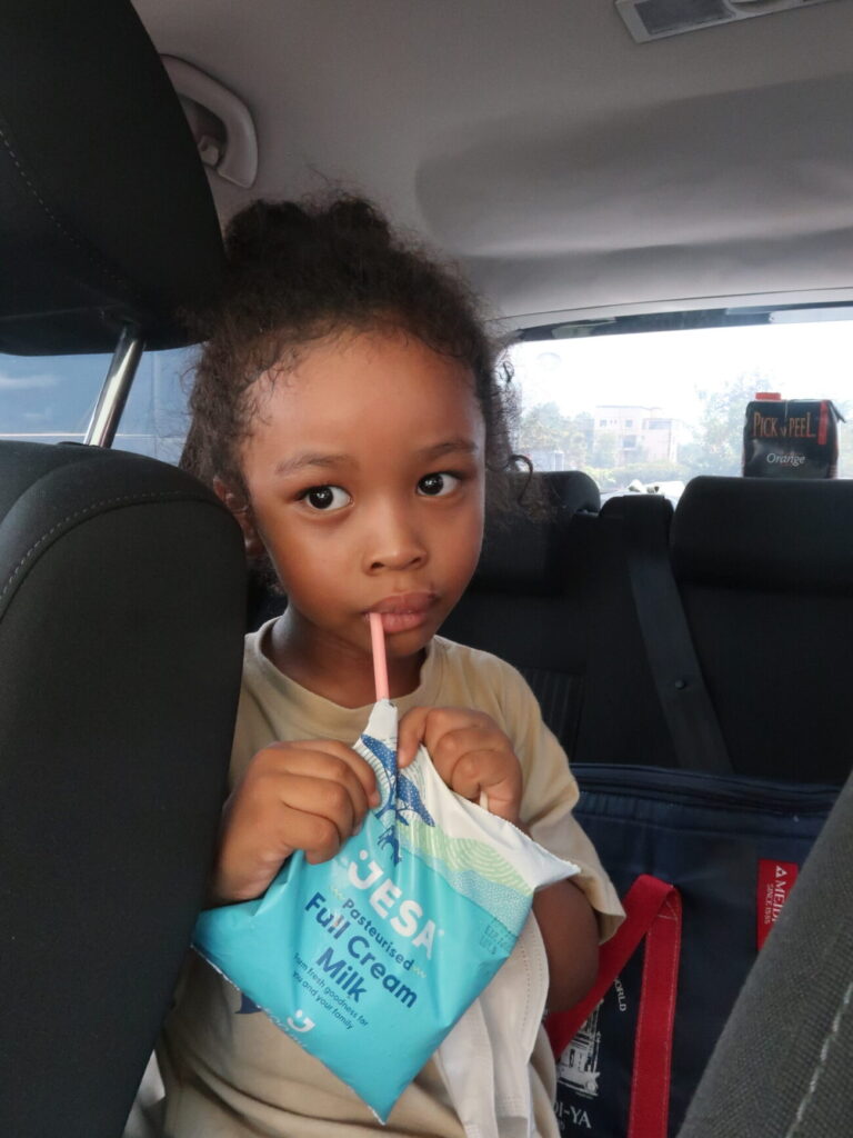 FENICS メルマガ Vol.100 2022/11/25 | FENICS