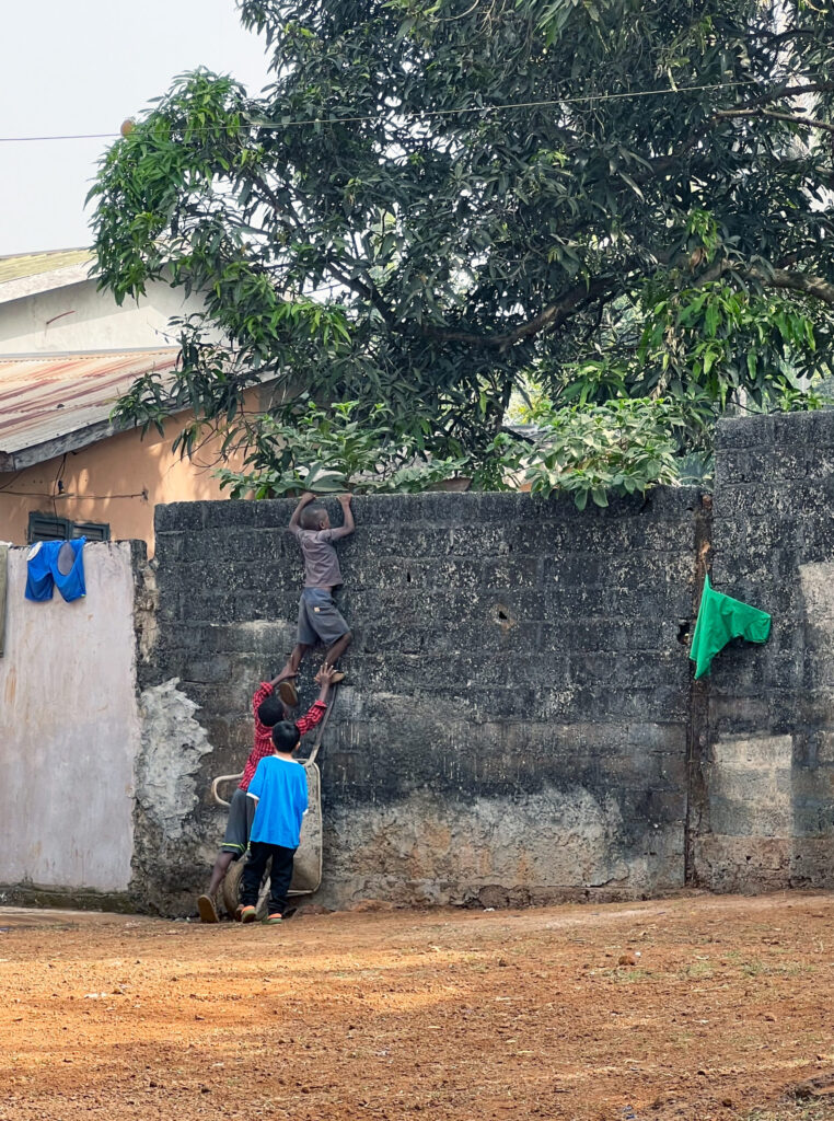 FENICS メルマガ Vol.114 2024/1/25 | FENICS